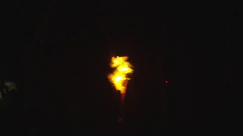 Running Through Woods Night Stock Video Footage | Royalty Free Running ...