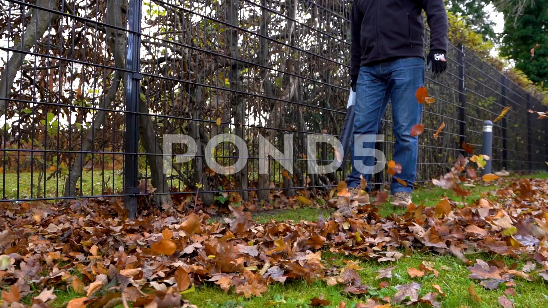 Man Blowing Leaves