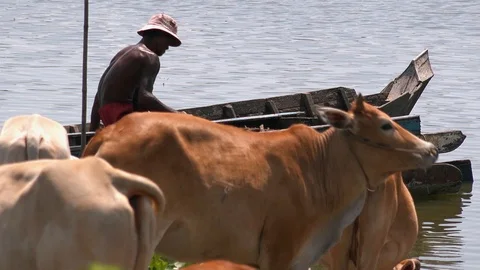 Boat Transfers In Stock Videos – Royalty-Free HD & 4K Videos | Pond5