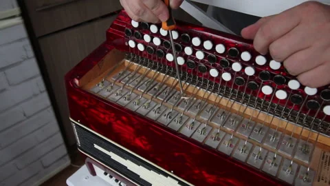 Butt Chec Stock Videos – Royalty-Free HD & 4K Videos