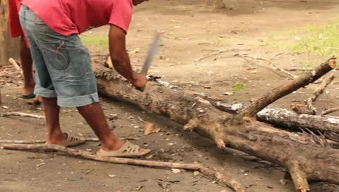 Man cleaning branches off of trunk of tr... | Stock Video | Pond5