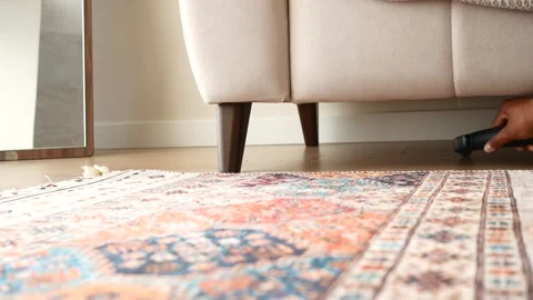 Underneath The Couch Stock Videos – Royalty-Free HD & 4K Videos