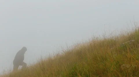 Blad Weather Man Stock Videos – Royalty-Free HD & 4K Videos | Pond5