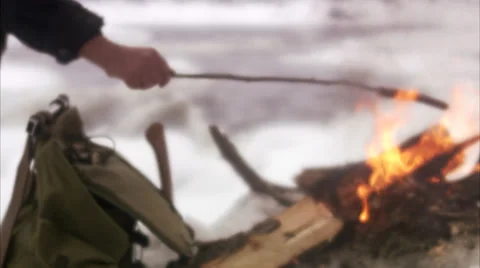 Dogs Back Hot Stock Videos – Royalty-Free HD & 4K Videos | Pond5