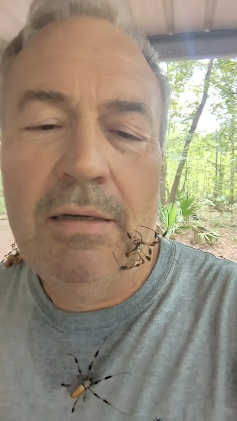 Man Covered in Giant Spiders, Patterson,... | Stock Video | Pond5