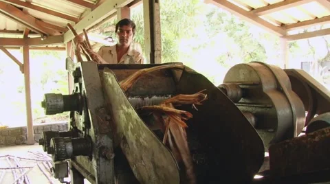 Vintage Cane Stock Videos – Royalty-Free HD & 4K Videos