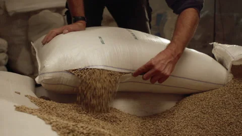 Open Sack Stock Footage ~ Royalty Free Stock Videos | Pond5