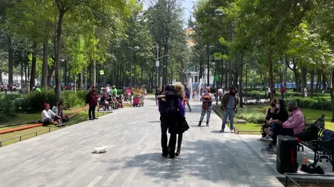 Mexican Puppets Stock Videos – Royalty-Free HD & 4K Videos