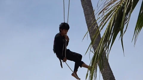 Coconut Tree Trimming Stock Videos – Royalty-Free HD & 4K Videos | Pond5