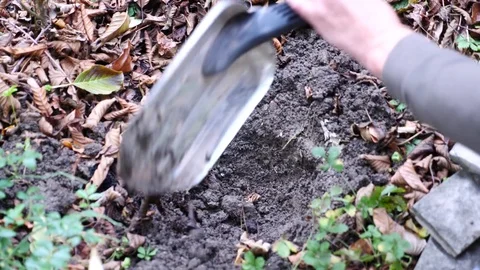 Man digging ground in garden. 4k, close-... | Stock Video | Pond5