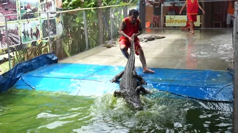 Red Water Drag Stock Videos – Royalty-Free HD & 4K Videos | Pond5