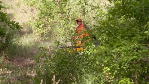 All Car Video Stock Videos – Royalty-Free HD & 4K Videos | Page 7