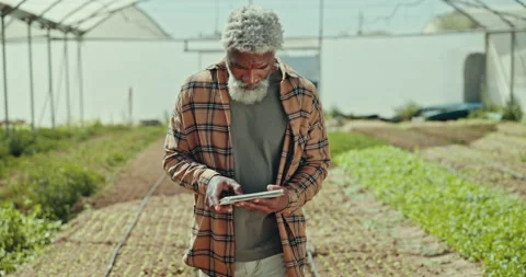 Man, farming and walking with tablet in ... | Stock Video | Pond5