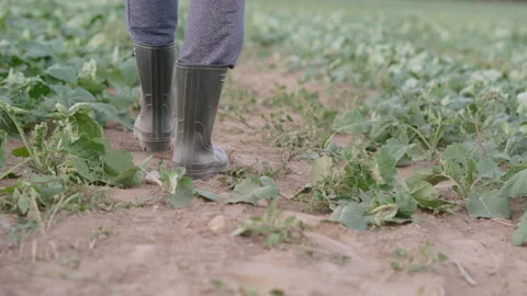 Man feet in dusty rubber boots walk acro... | Stock Video | Pond5
