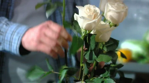 Pregnant Pregnant Man Stock Videos – Royalty-Free HD & 4K Videos | Pond5