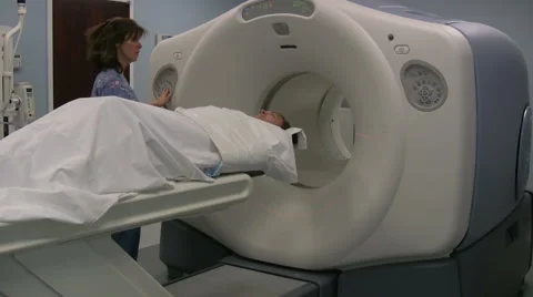 Cat Cat Scan Stock Video Footage | Royalty Free Cat Cat Scan Videos | Pond5