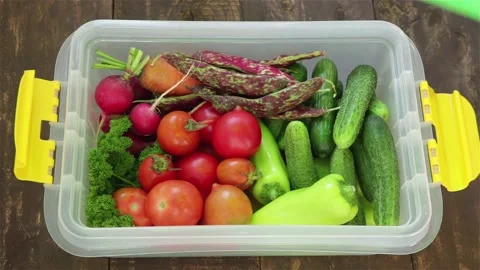 man hand open plastic food container wit... | Stock Video | Pond5