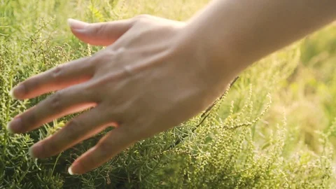 Sunlight Man Stock Videos – Royalty-Free HD & 4K Videos | Pond5