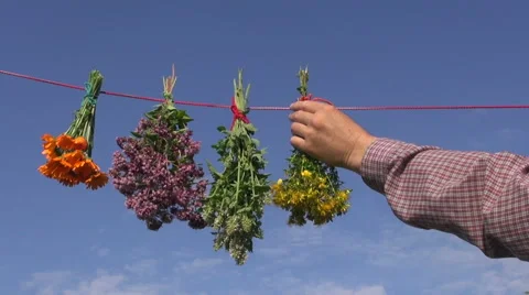 Variou Man Stock Videos – Royalty-Free HD & 4K Videos | Pond5