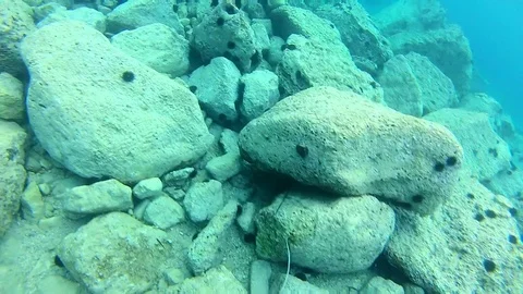 Man hitting fish with a speargun in the ... | Stock Video | Pond5