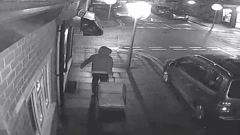 Life After Life Stock Videos – Royalty-Free HD & 4K Videos