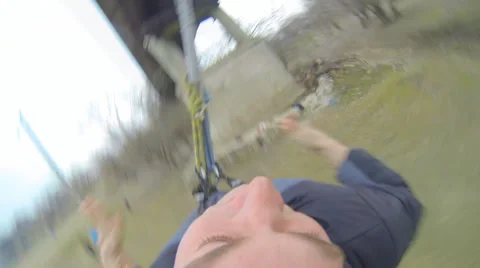 Animal Face Off Stock Video Footage | Royalty Free Animal Face Off ...