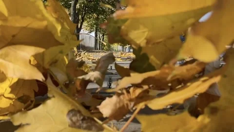 Orange Man Concept Stock Videos – Royalty-Free HD & 4K Videos | Page 2