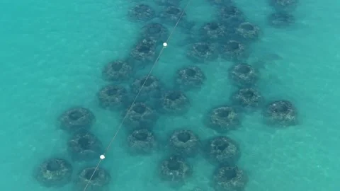 Man-made coral reefs supporting marine l... | Stock Video | Pond5
