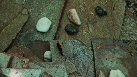 Man Made Plants Stock Videos – Royalty-Free HD & 4K Videos | Pond5