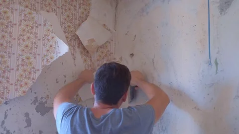 Back Wallpapers Stock Videos – Royalty-Free HD & 4K Videos | Page 2