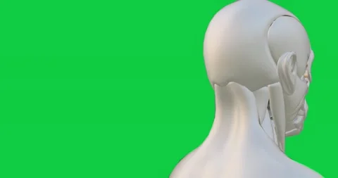 Man Mannequin rotating in loop with gree... | Stock Video | Pond5