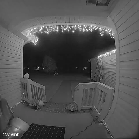 Man Misses Last Step on Ladder, Elizabet... | Stock Video | Pond5