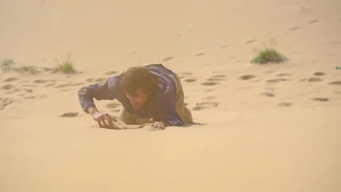 Exhausted Desert Crawl Stock Videos – Royalty-Free HD & 4K Videos