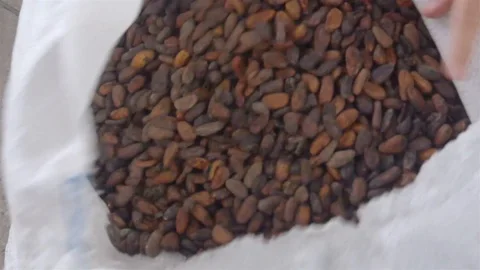 Big Bag Man Stock Videos – Royalty-Free HD & 4K Videos