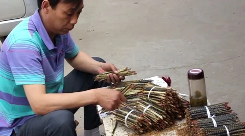 Organizing Body Stock Videos – Royalty-Free HD & 4K Videos