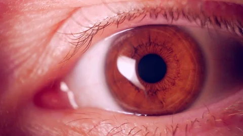 Investigation Tracking Stock Videos – Royalty-Free HD & 4K Videos