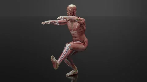 man performing pistol squat, human muscl... | Stock Video | Pond5