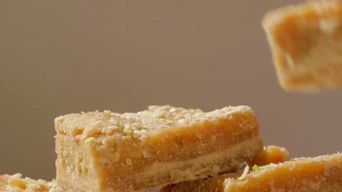 Man Made Plants Stock Videos – Royalty-Free HD & 4K Videos | Pond5