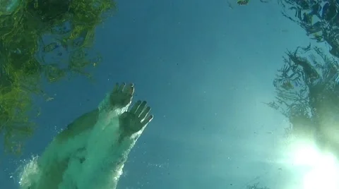 Man pike diving shot from below, sport, ... | Stock Video | Pond5