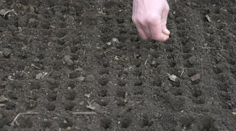 Soil Cells Stock Video Footage | Royalty Free Soil Cells Videos | Pond5