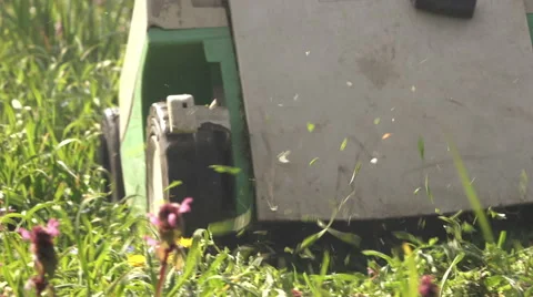 Push Mower Stock Videos – Royalty-Free HD & 4K Videos | Page 5