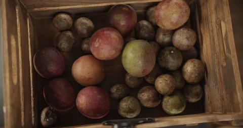 Pinapple Picking Stock Videos – Royalty-Free HD & 4K Videos