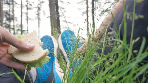 Sandwith He Man Stock Videos – Royalty-Free HD & 4K Videos