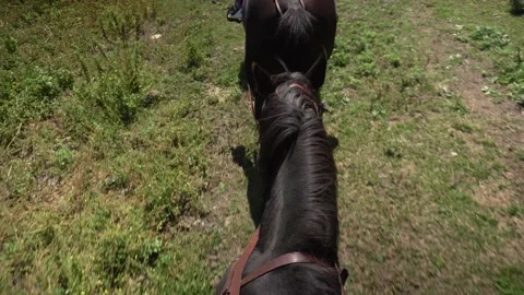 A man rides a horse top view. A riding h... | Stock Video | Pond5