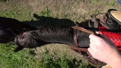 A man rides a horse top view. A riding h... | Stock Video | Pond5
