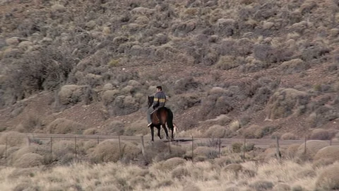 Horse Galloping Argentina Stock Videos – Royalty-Free HD & 4K Videos