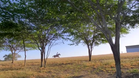 Man Riding Horse, Running, Trotting, Ani... | Stock Video | Pond5