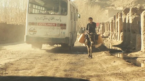 Man Riding Mule Stock Videos – Royalty-Free HD & 4K Videos
