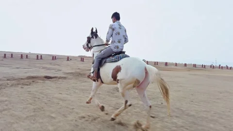 Man riding a white horse in an open fiel... | Stock Video | Pond5