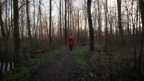 Man running through the woods. | Stock Video | Pond5